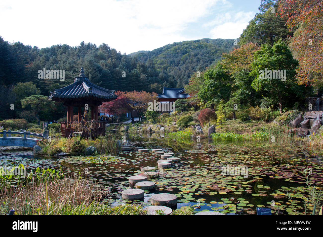 GARDEN OF MORNING CALM Stock Photo - Alamy