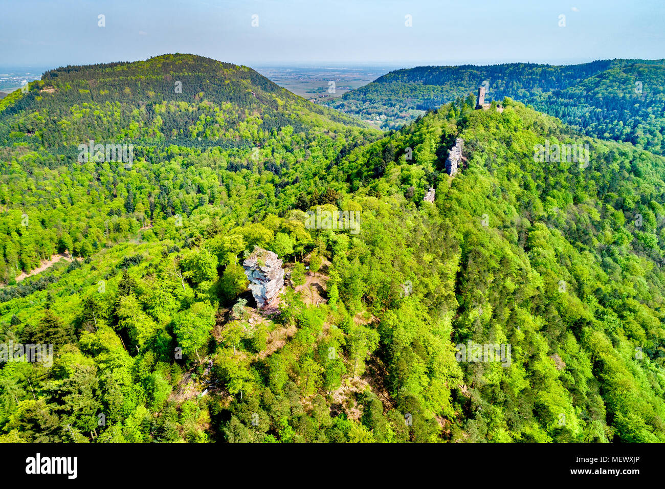 Scharfenberg castle in pfalzerwald hi-res stock photography and images ...