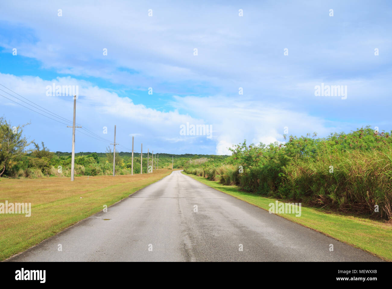 Straight road to horizon with utility pole in Guam Stock Photo - Alamy