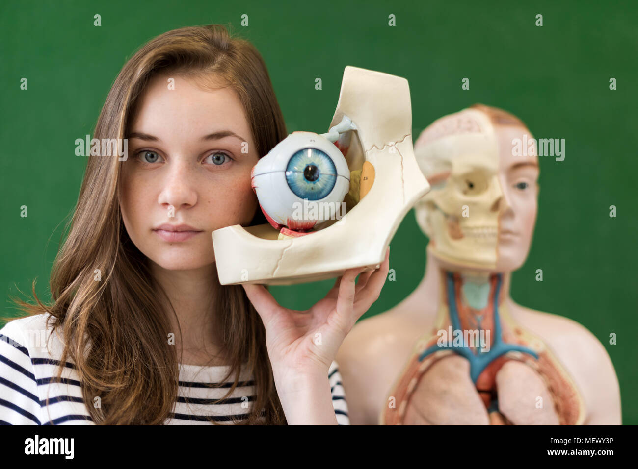Young female high school student holding human eye model. Student ...