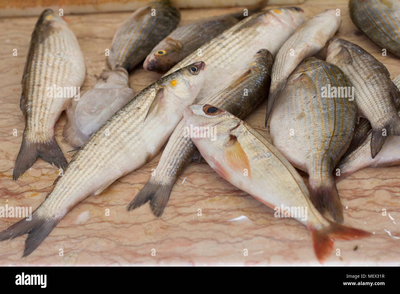 Madeira sardine hi-res stock photography and images - Alamy