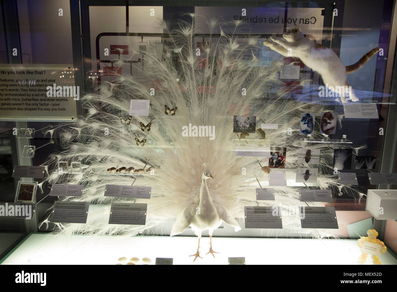 Who Am I exhibit with interactive objects, games and artworks at the ...