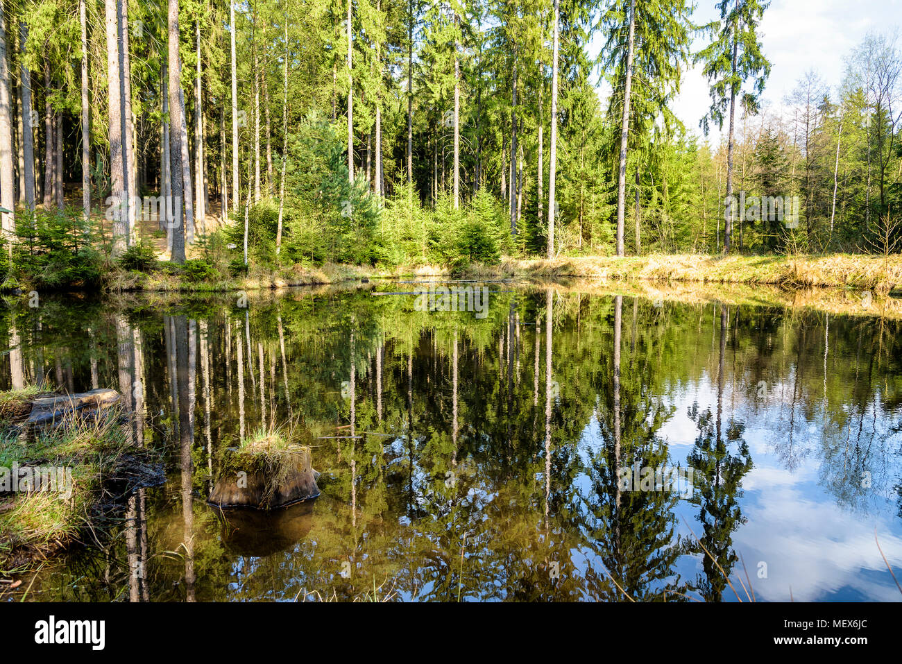 Clear water pond hi-res stock photography and images - Alamy