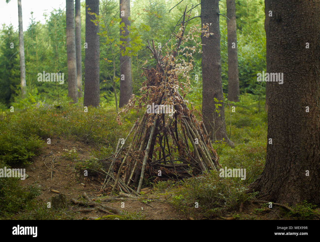 simple wooden shelter build out of branches in a forest Stock Photo - Alamy
