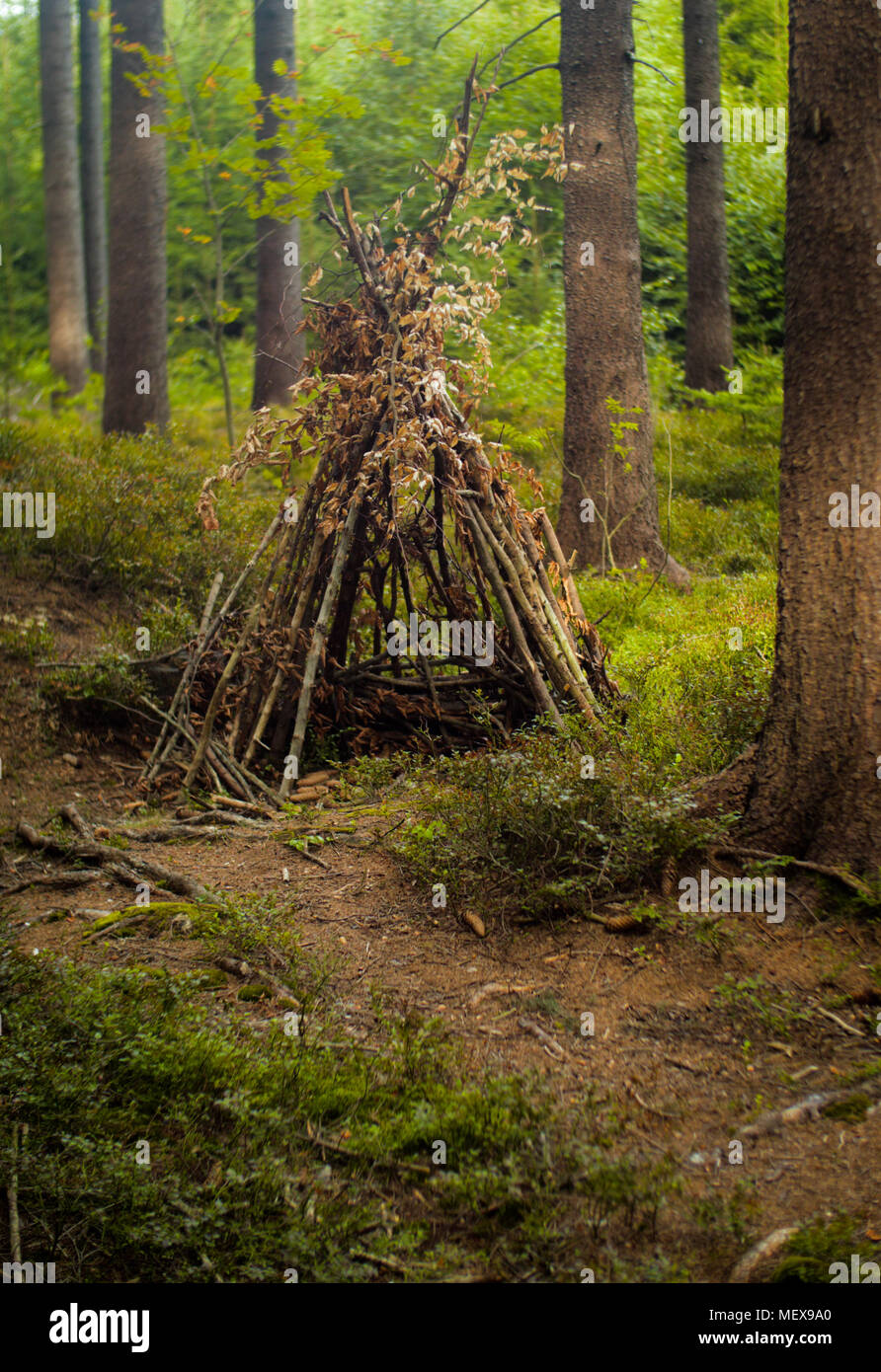 Build a shelter branches hi-res stock photography and images - Alamy