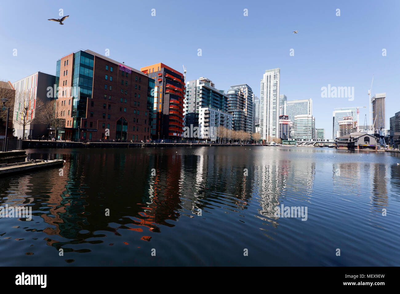 Panoramic view of MIllwall Inner Dock, looking towards Canary Wharf ...