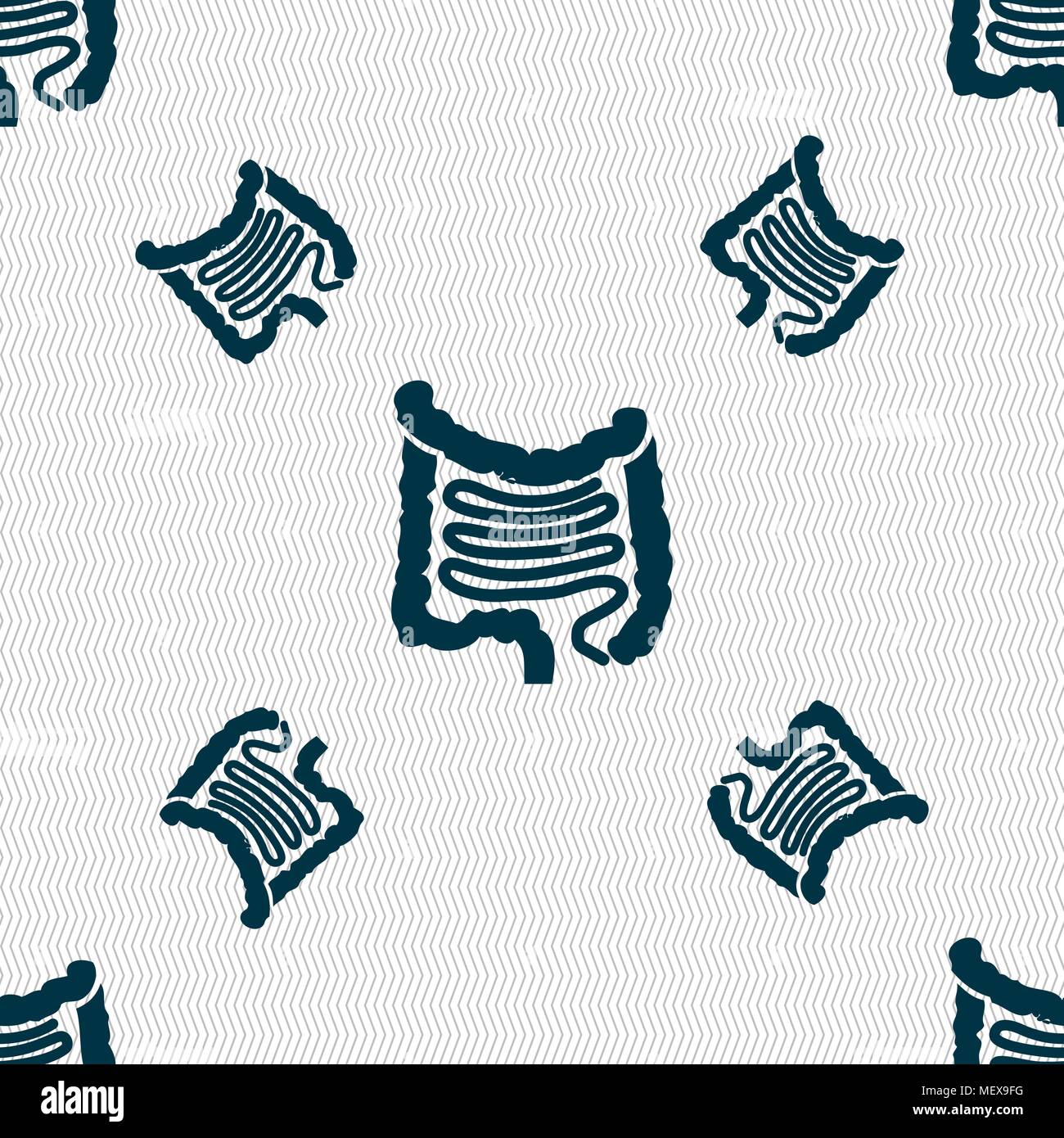 Jejunum vector vectors hi-res stock photography and images - Alamy