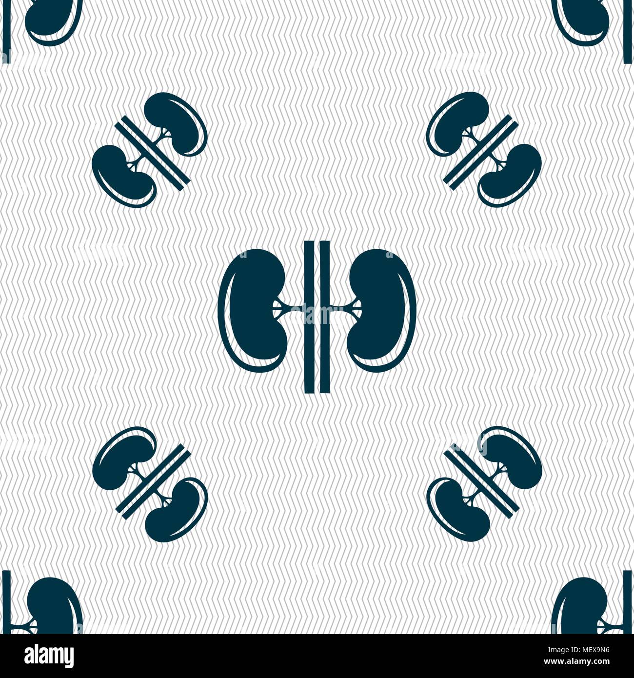 Two kidneys icon vector vectors hi-res stock photography and images - Alamy
