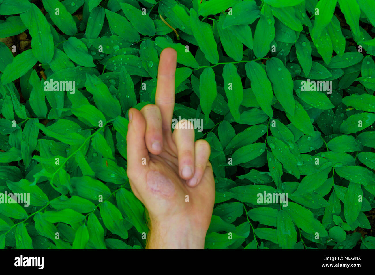 Arm showing different signs hi-res stock photography and images - Alamy