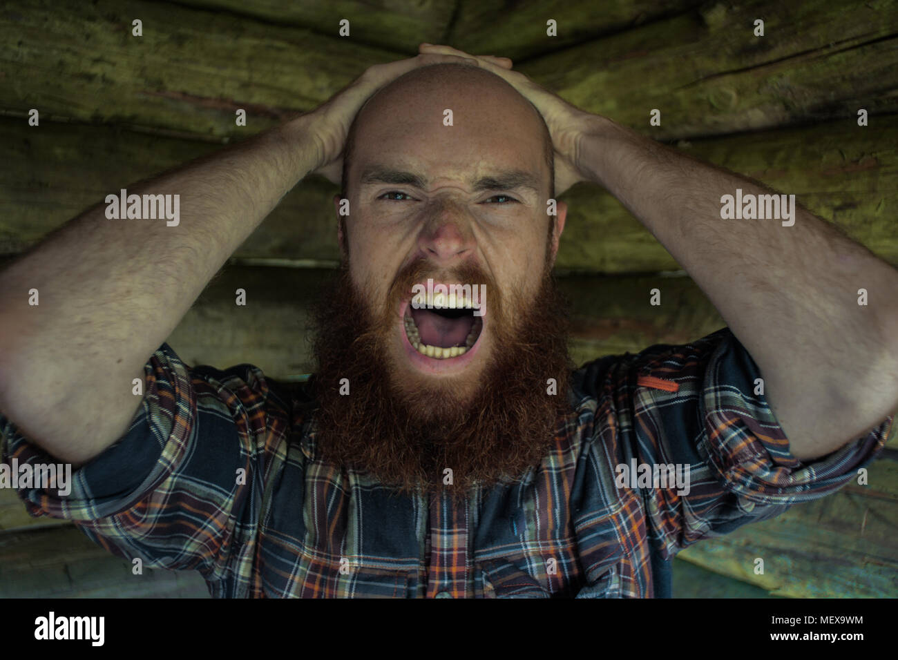 Bald man screaming hi-res stock photography and images - Alamy