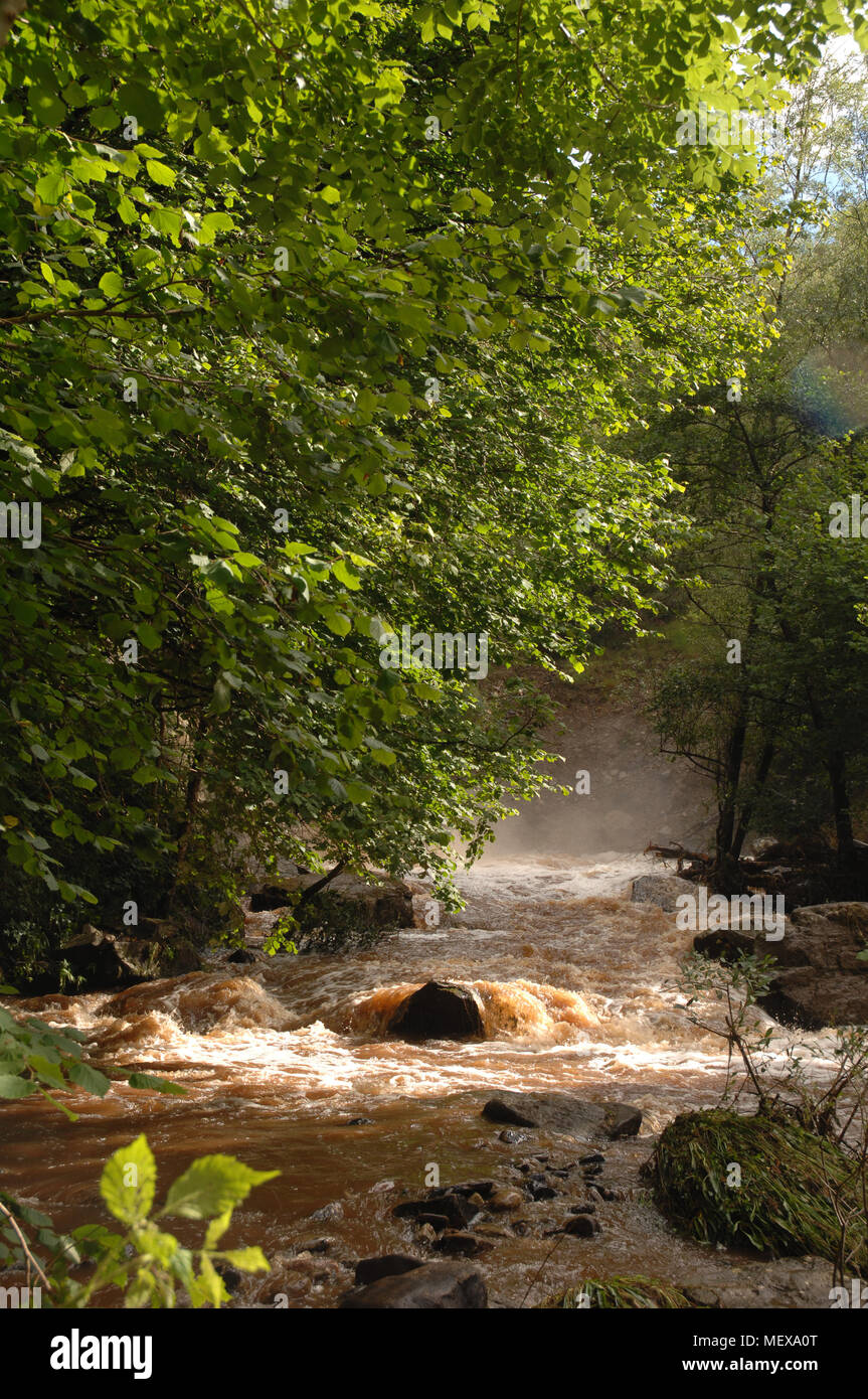 Heavy spring water flow hi-res stock photography and images - Alamy