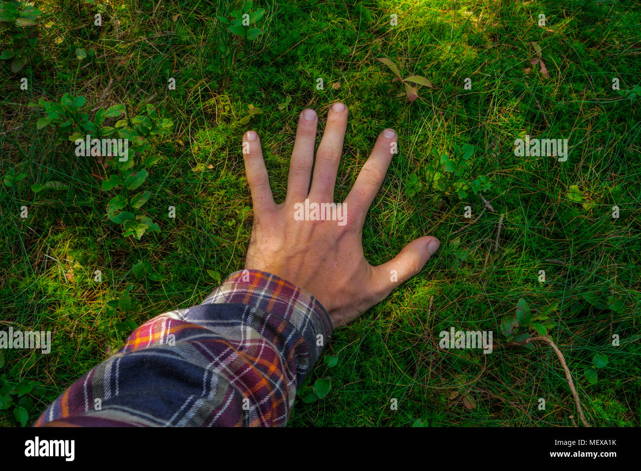 Touching the ground hi-res stock photography and images - Alamy