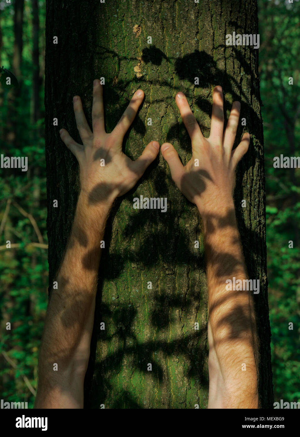 Coexistence man nature hi-res stock photography and images - Alamy