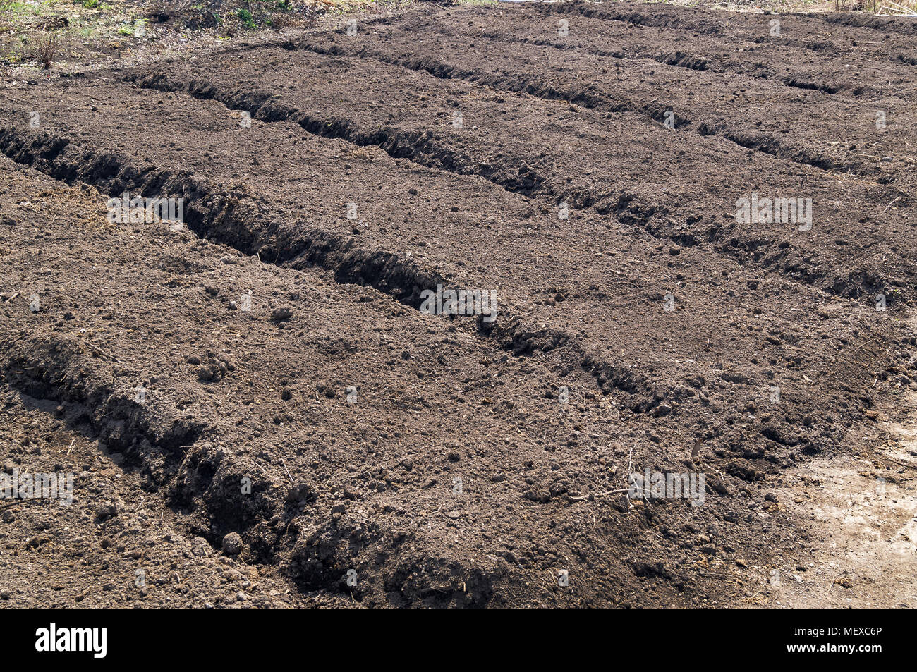 Prepared seed bed hi-res stock photography and images - Alamy