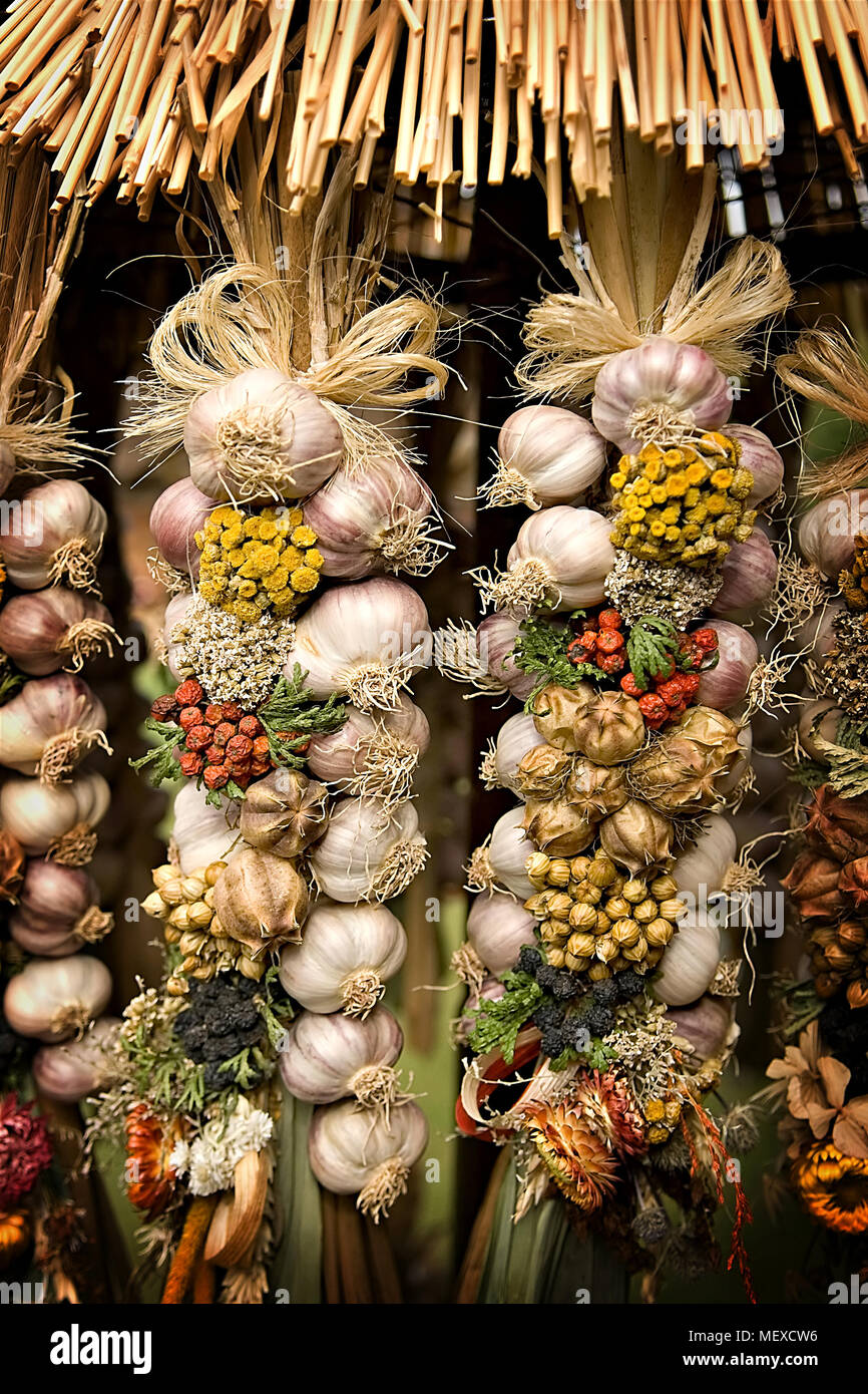 Fresh organic garlic braids at the local market Stock Photo - Alamy