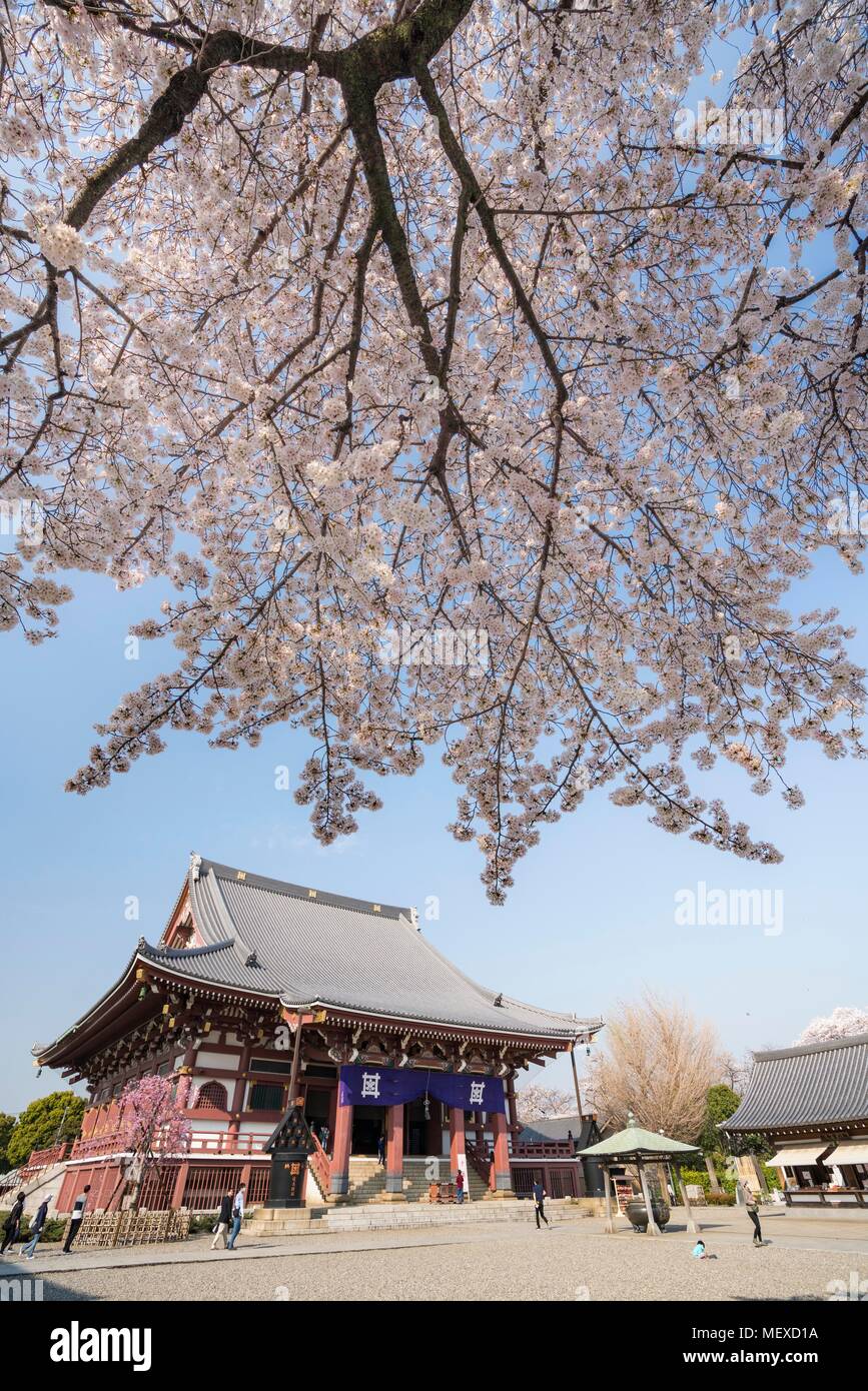 Ikegami Honmonji temple, Ota-Ku, Tokyo, Japan Stock Photo - Alamy