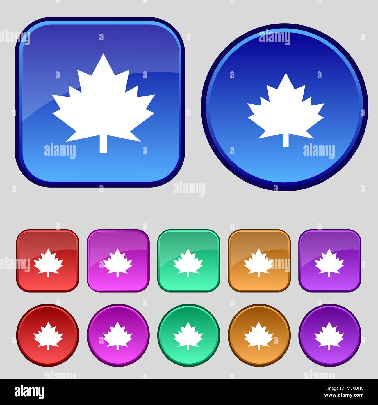 Maple leaf icon. Set colourful buttons. Vector illustration Stock ...