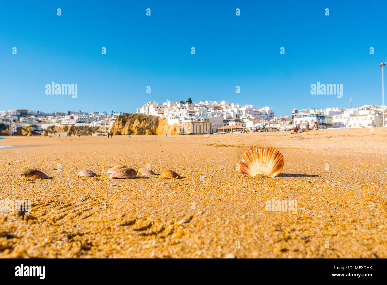 Shells on beach algarve portugal hi-res stock photography and images ...