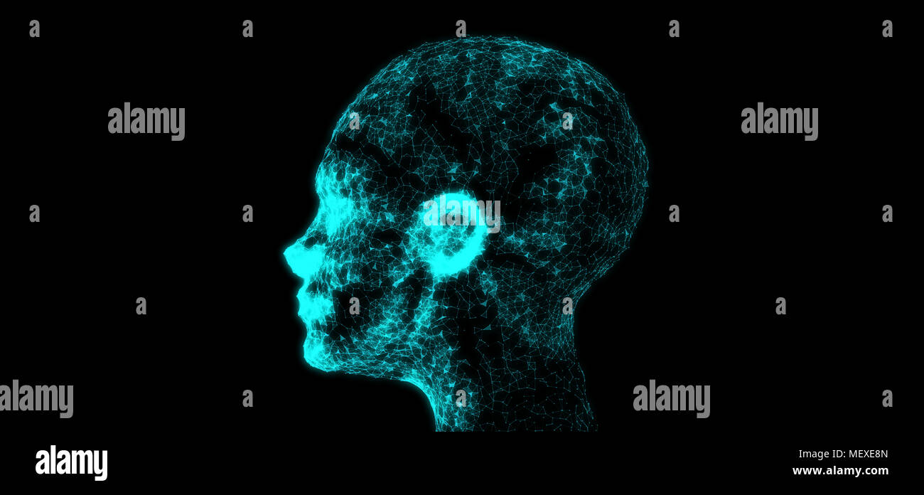Human Head Wireframe Stock Photos & Human Head Wireframe Stock Images ...