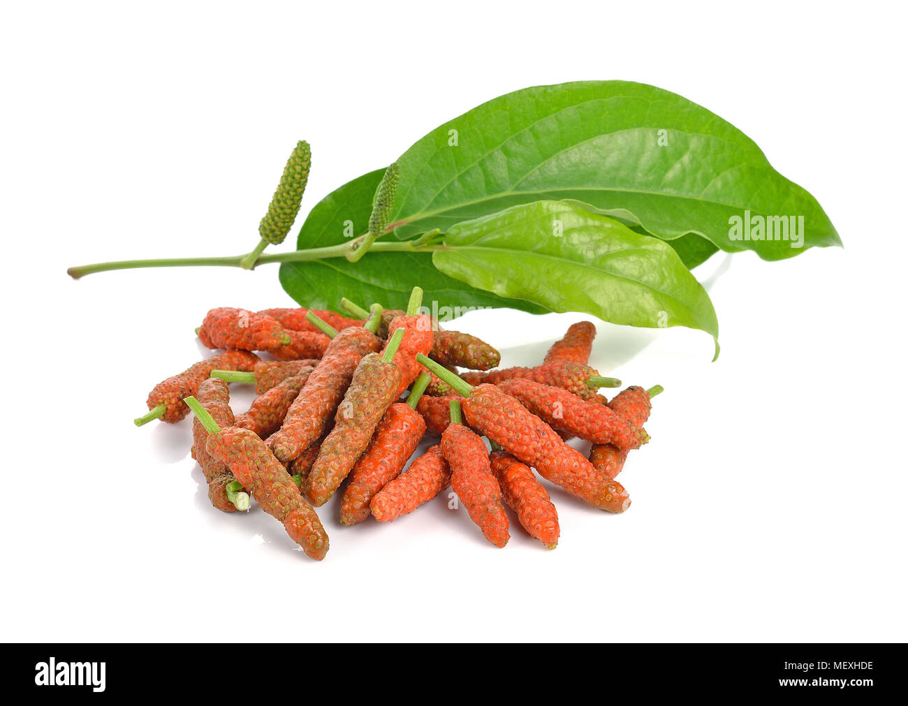 Long Pepper isolated on white background Stock Photo - Alamy