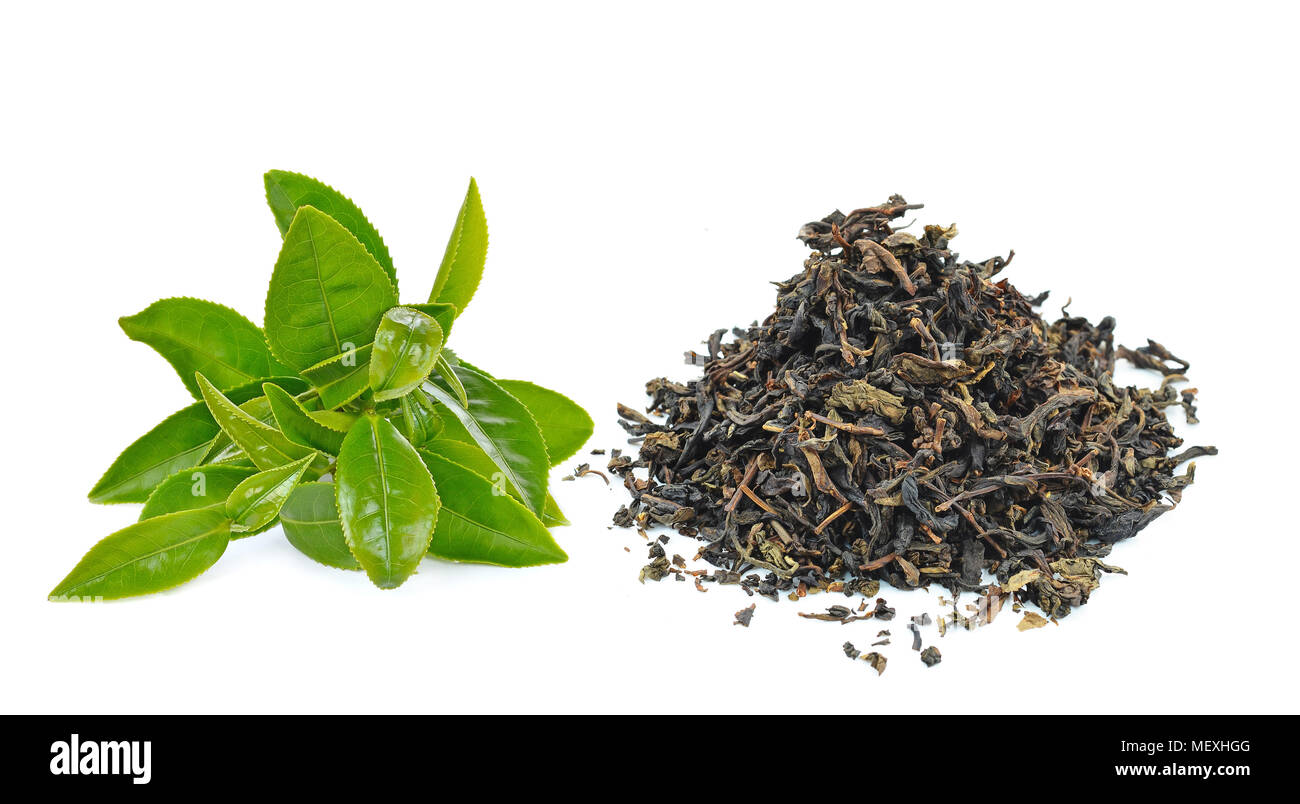 green tea leaf Stock Photo - Alamy