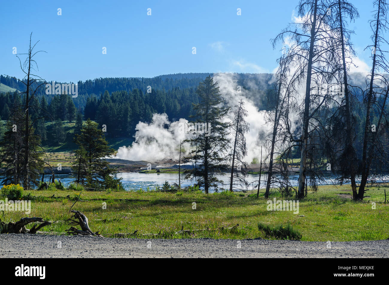 Geyser at Mud Volcano Stock Photo - Alamy