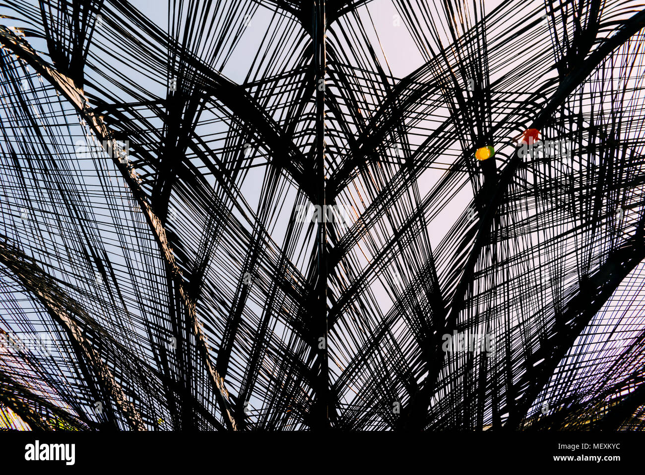 Network pattern with concentric circle background image Stock Photo - Alamy