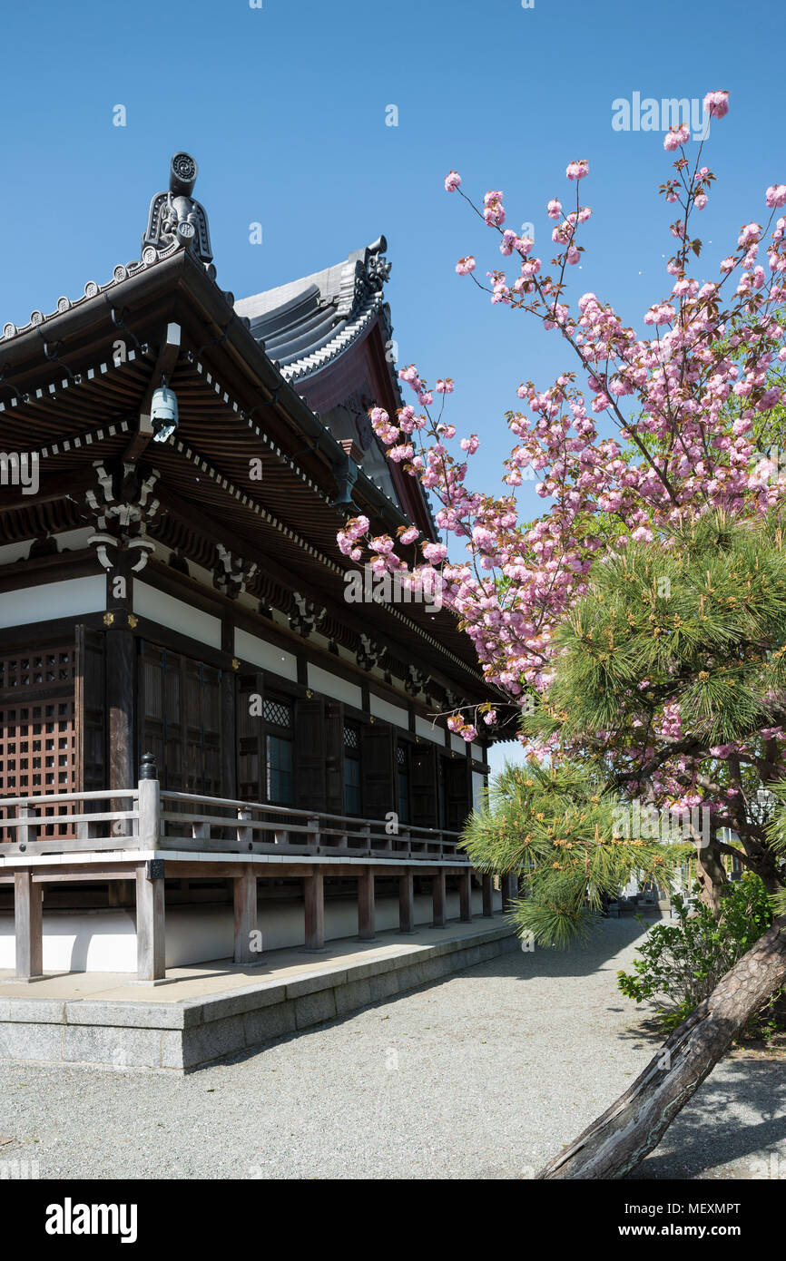 Ichijo nisshutsu hi-res stock photography and images - Alamy