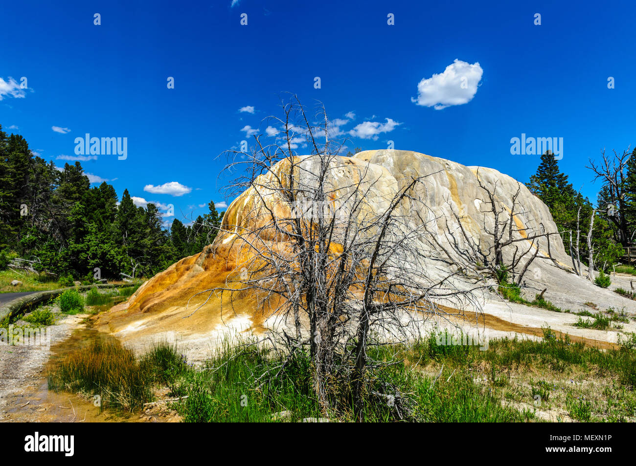 Orange Spring Mound Stock Photo - Alamy