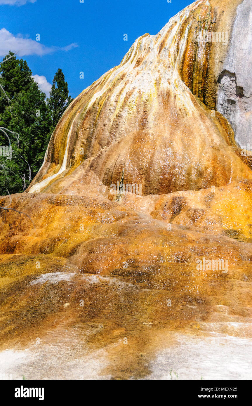 Orange Spring Mound in Mammoth Hot Springs, Yellowstone National Park ...
