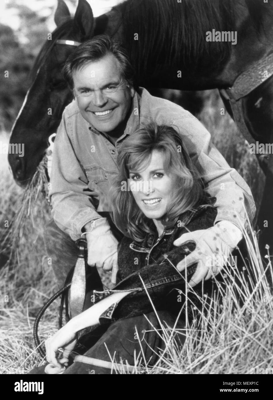 Hart aber herzlich: Die Rückkehr aka. Hart to Hart Returns, TV Movie ...