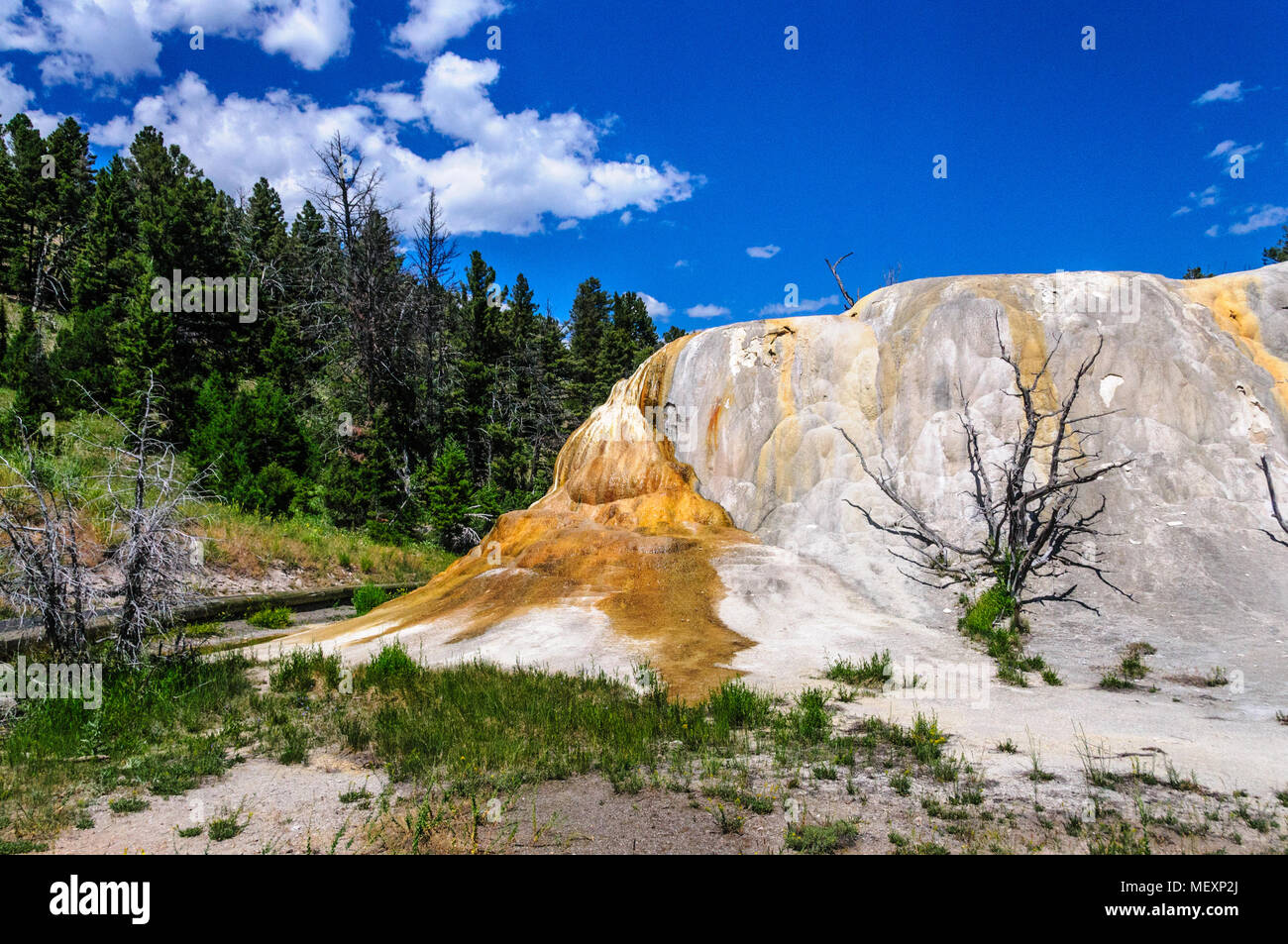 Orange Spring Mound Stock Photo - Alamy