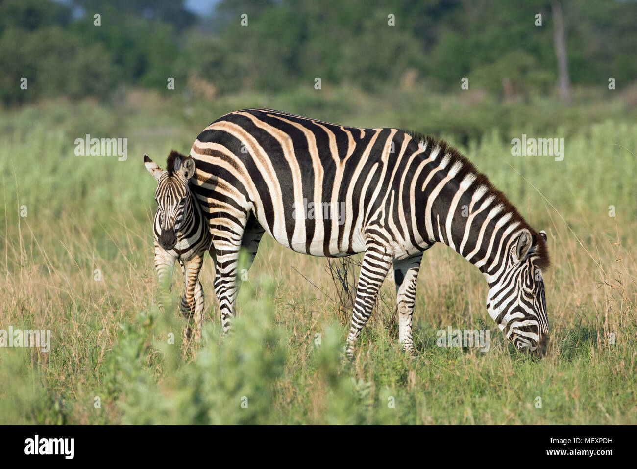 Female rear end hi-res stock photography and images - Alamy