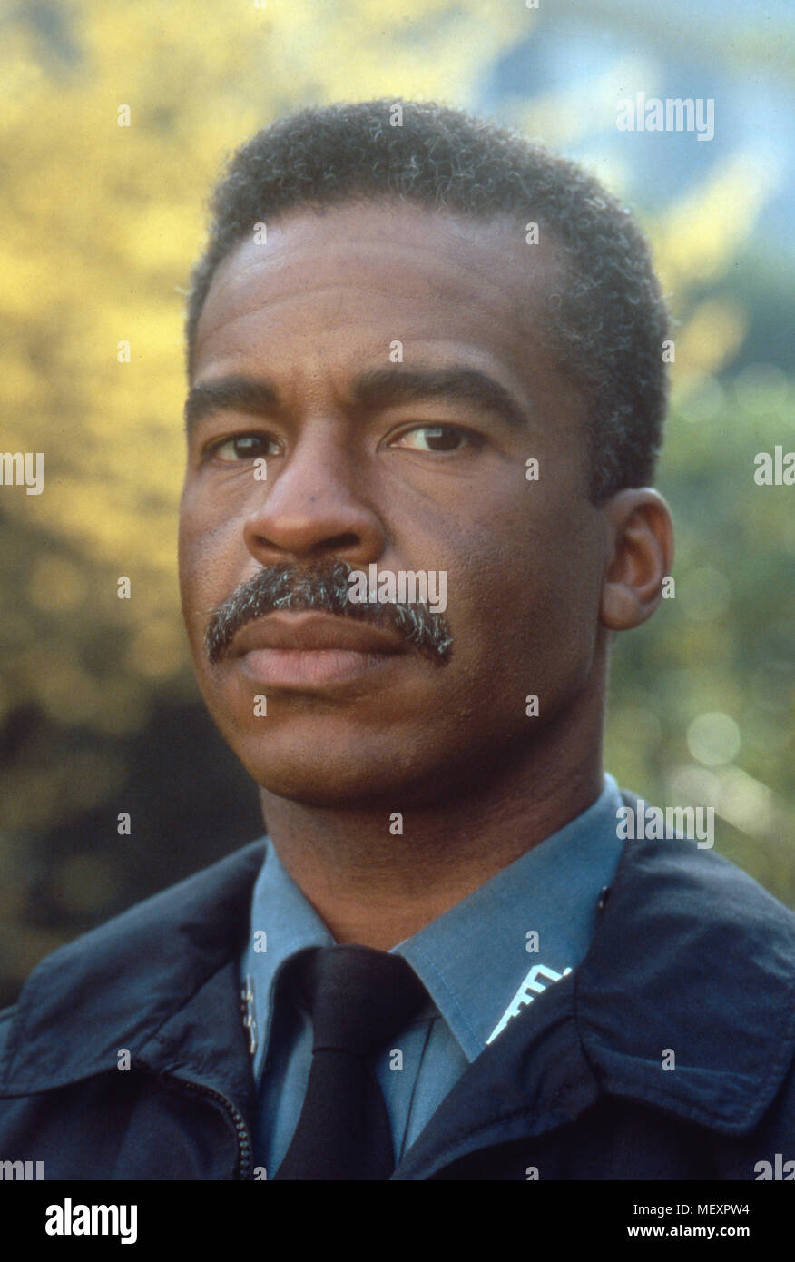 Jumanji, USA 1995 Regie: Joe Johnston Darsteller: David Alan Grier ...