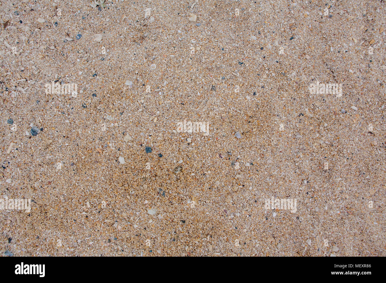 Sea sand texture made of shell and stone pieces Stock Photo - Alamy