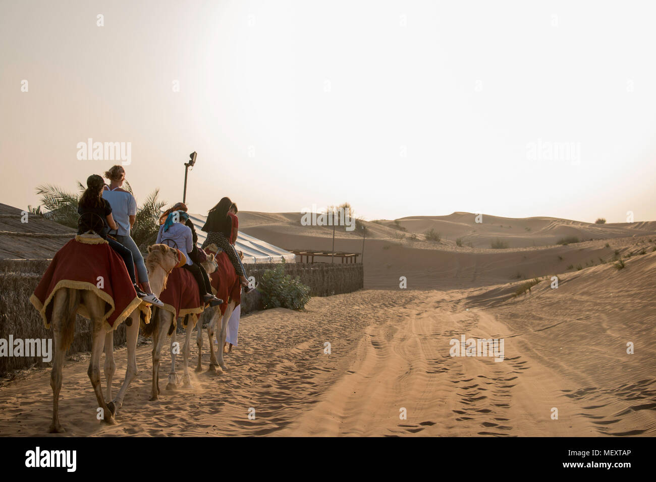 Arabian desert dune bashing hi-res stock photography and images - Alamy