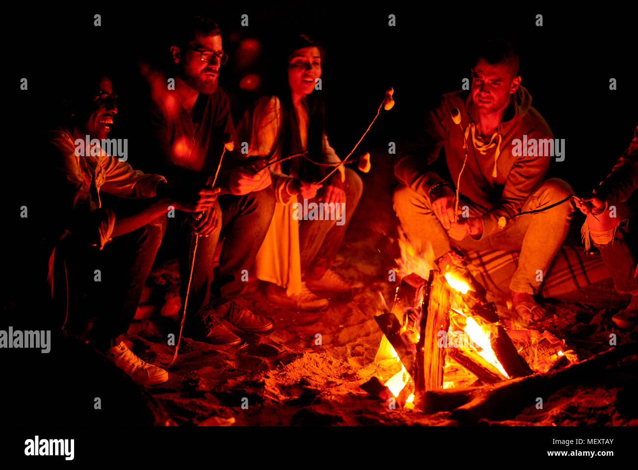 Positive friends roasting marshmallows on fire Stock Photo - Alamy
