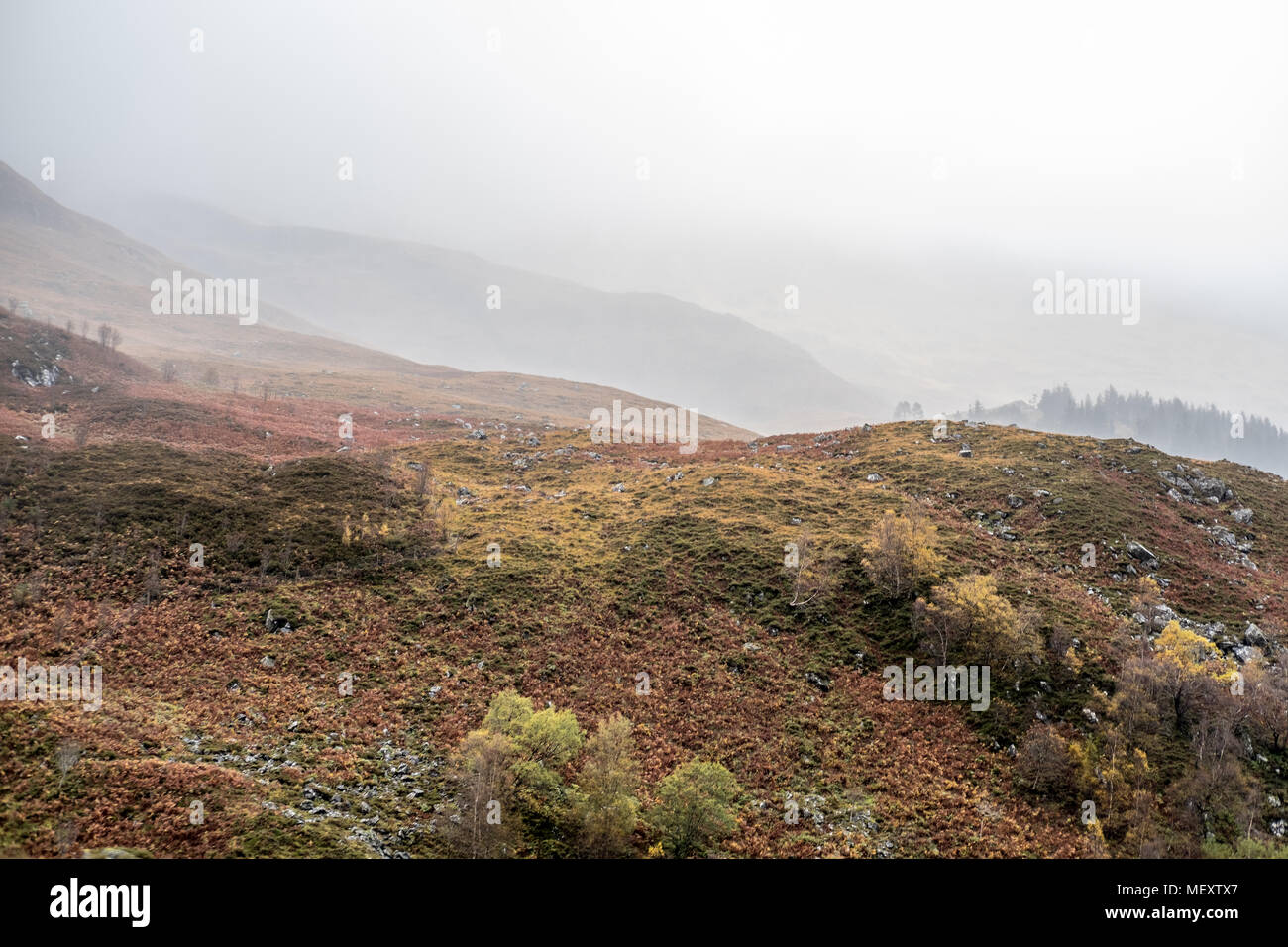 Scenic Landscape View of Mountain, Forest in Scottish Highlands Stock ...
