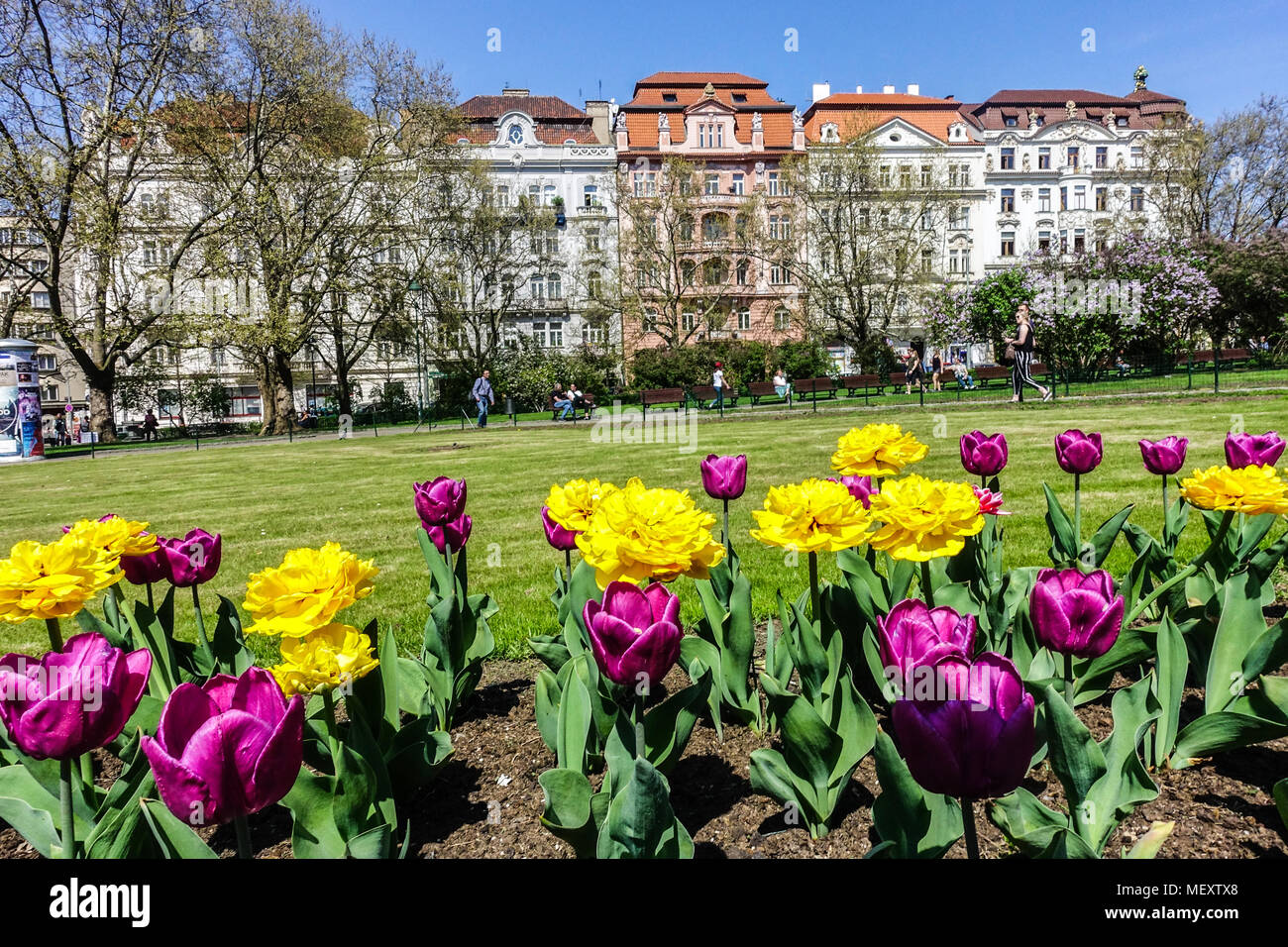 Residential houses on Namesti Miru Square, Prague Vinohrady Czech ...