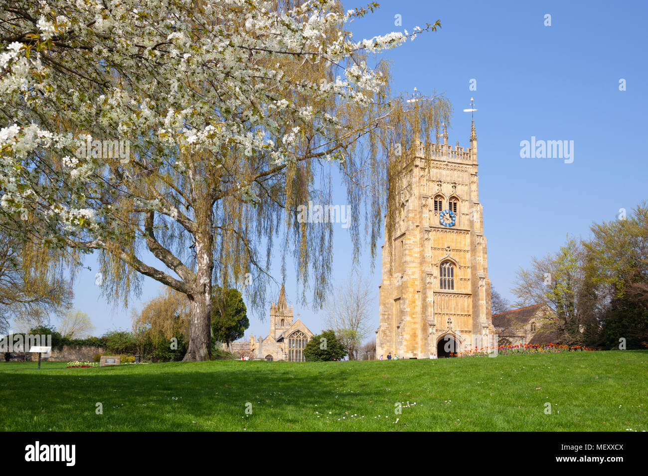 The Bell Tower of Evesham Abbey in Abbey Park with spring blossom ...
