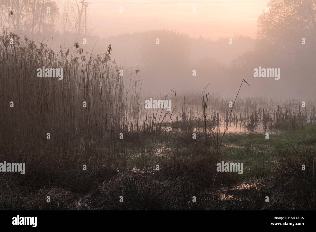 Spooky creatures hi-res stock photography and images - Alamy