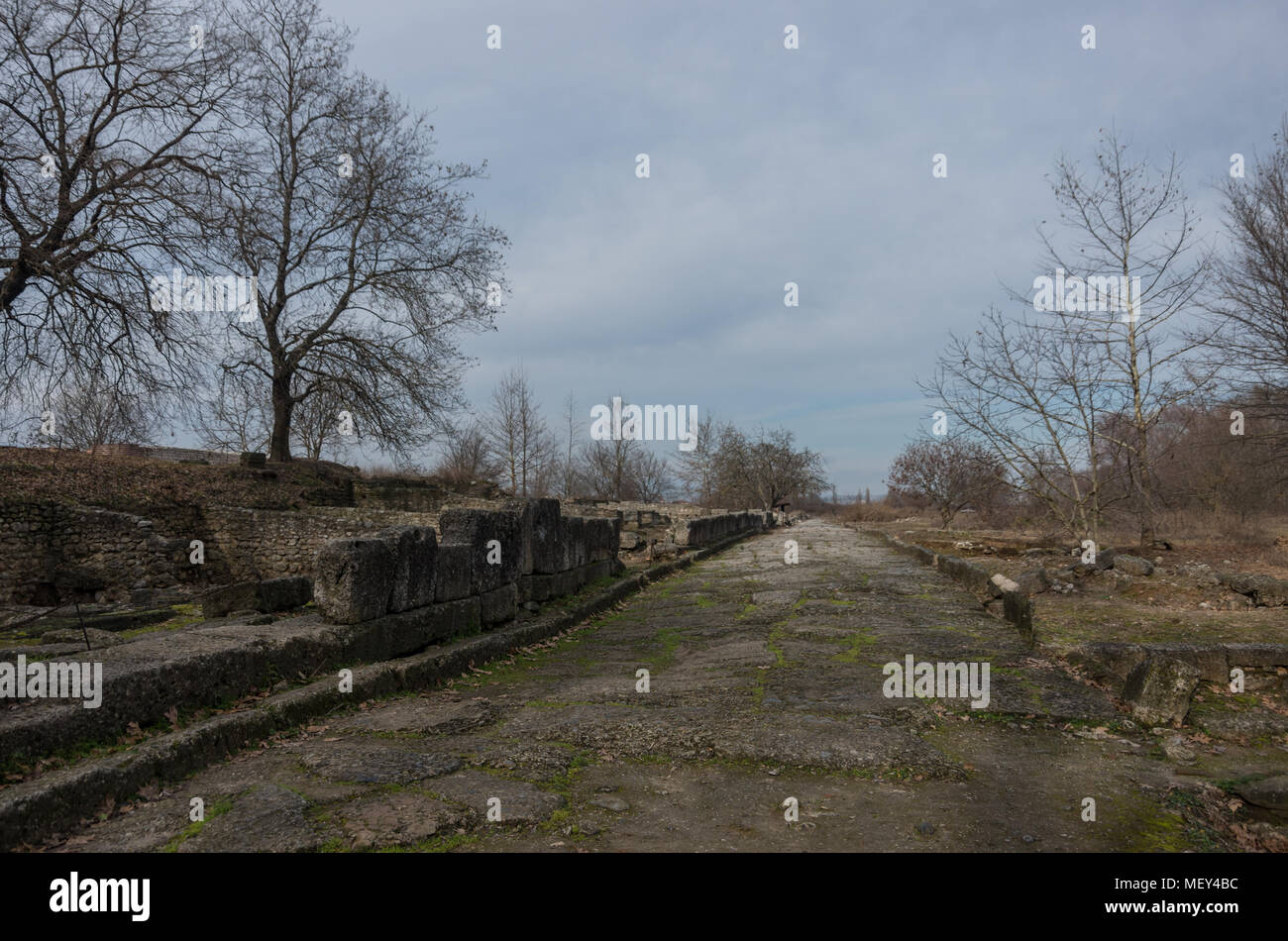 Ruins and old road at the Archaeological Park of Dion. Pieria ...