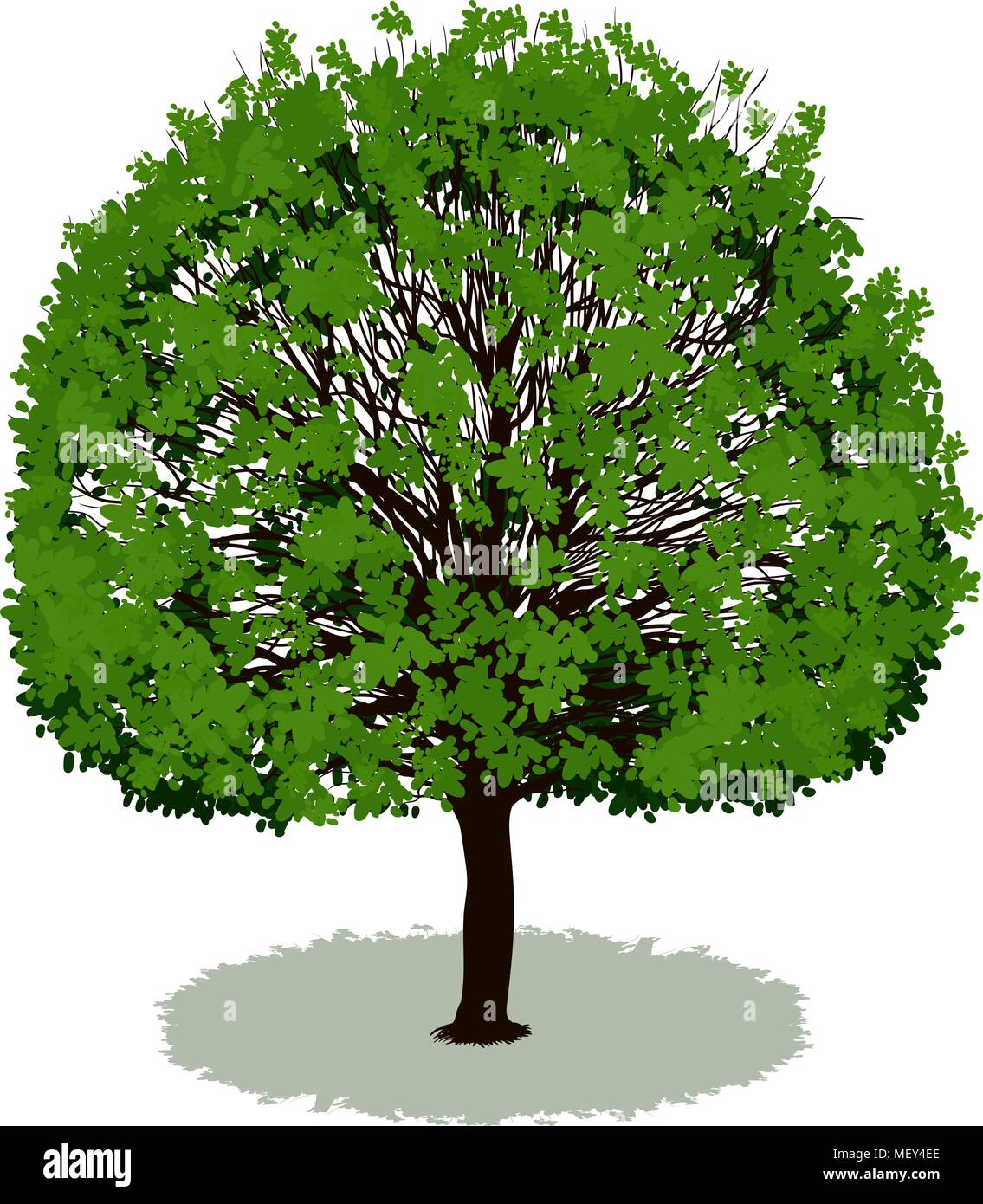 Tree silhouette Stock Vector Images - Alamy