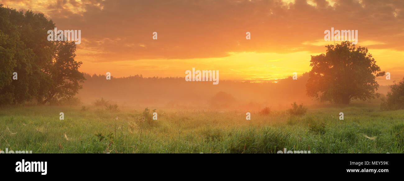 Panoramic spring landscape with green field and colorful dramatic sky ...