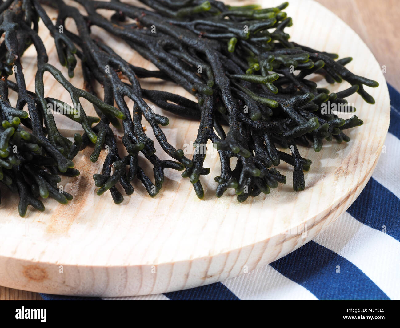 Codium – Velvet horn – Spongeweed. Edible green seaweed in the family ...