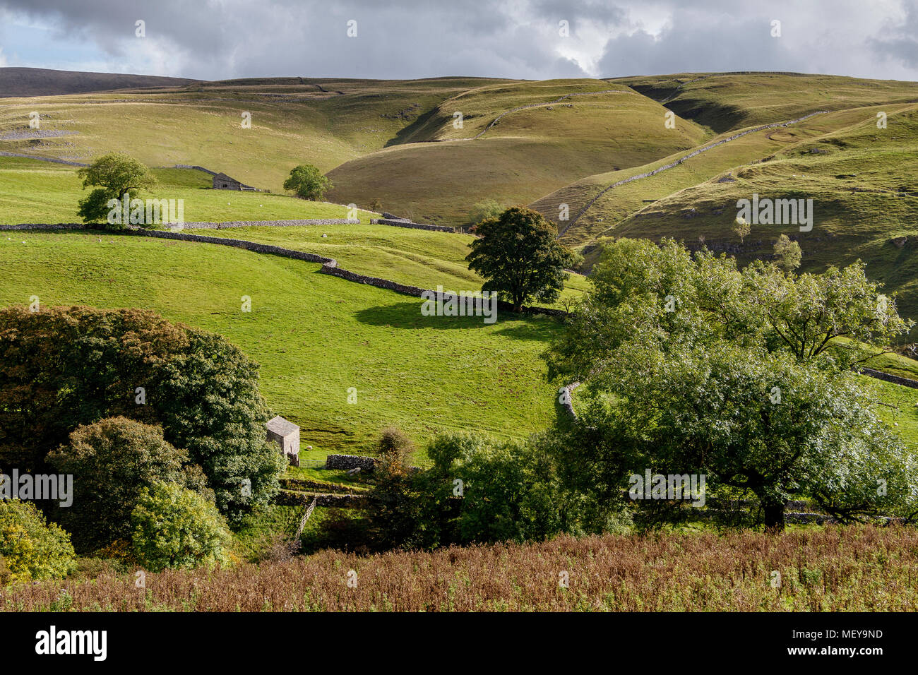 Sunlit landscape view across the Yorkshire Dales National Park, England ...