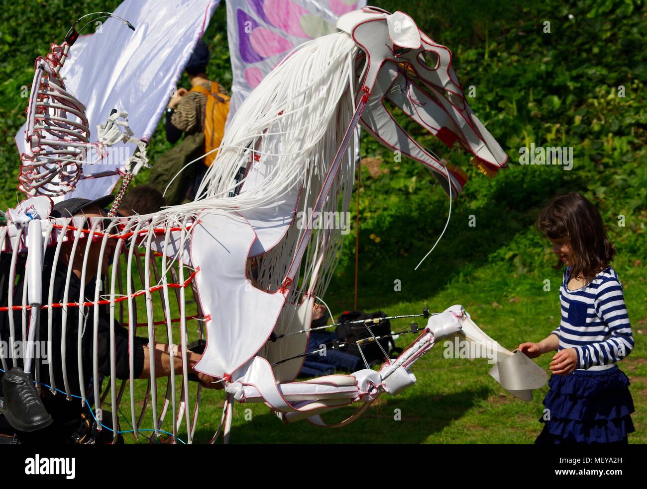 Skeleton horse rider hi-res stock photography and images - Alamy