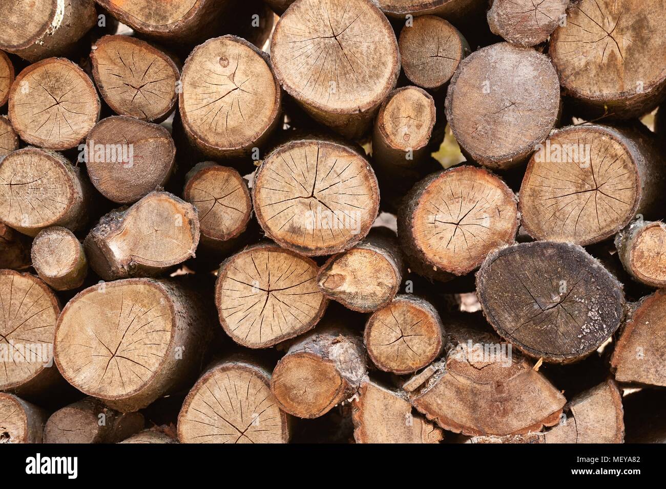 Log wood pile Stock Photo - Alamy