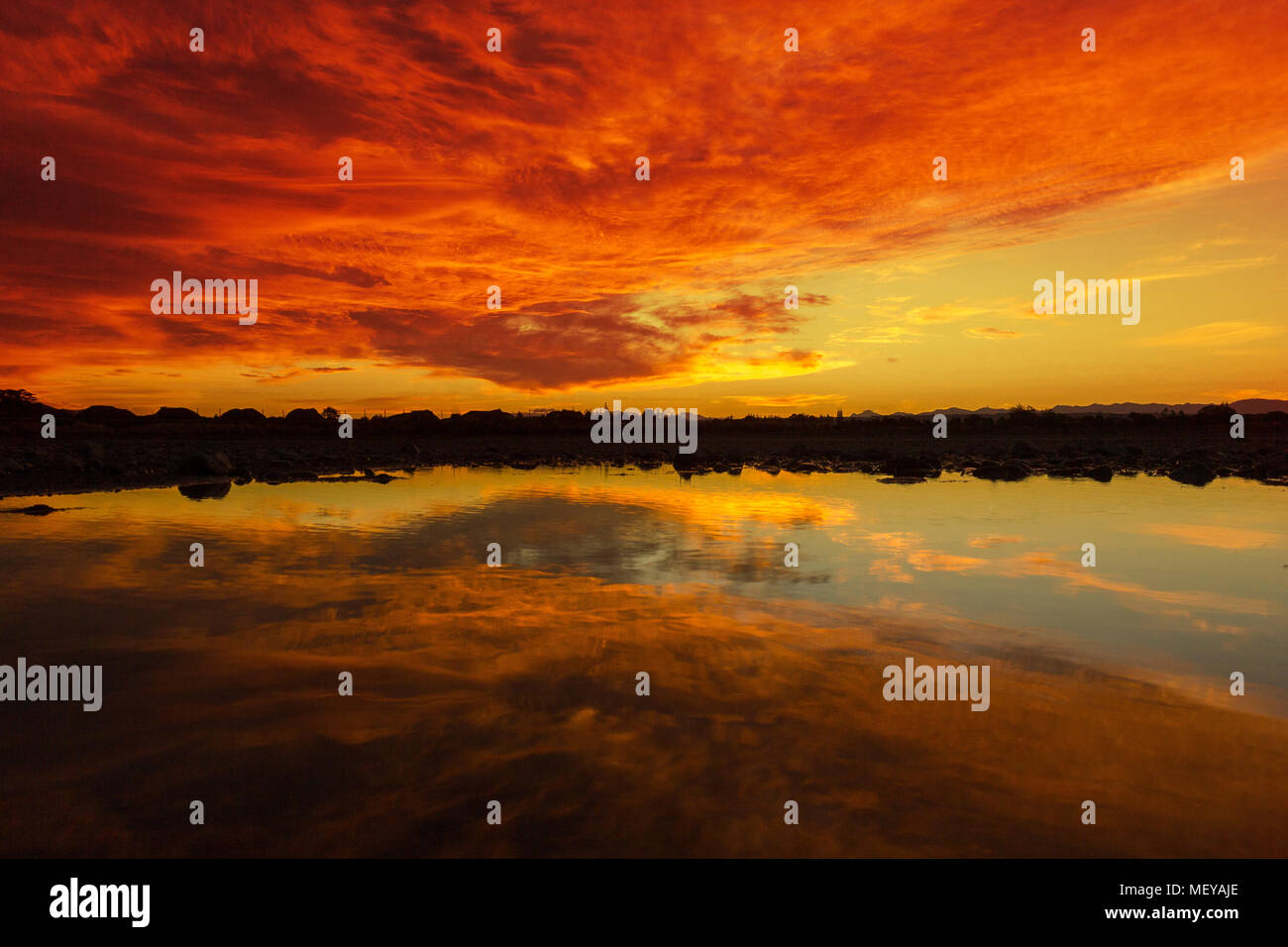 Golden Bay Nz Aerial High Resolution Stock Photography and Images - Alamy