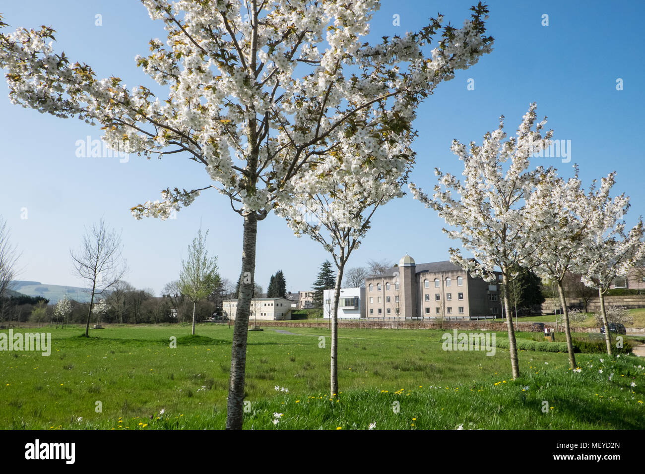 Lampeter town hi-res stock photography and images - Alamy
